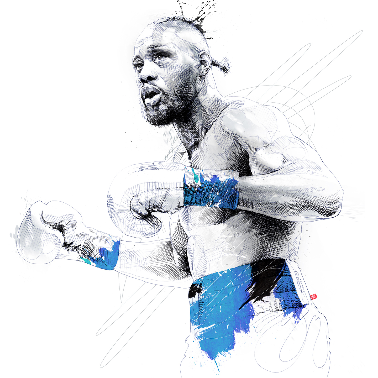 David Despau – Illustrator